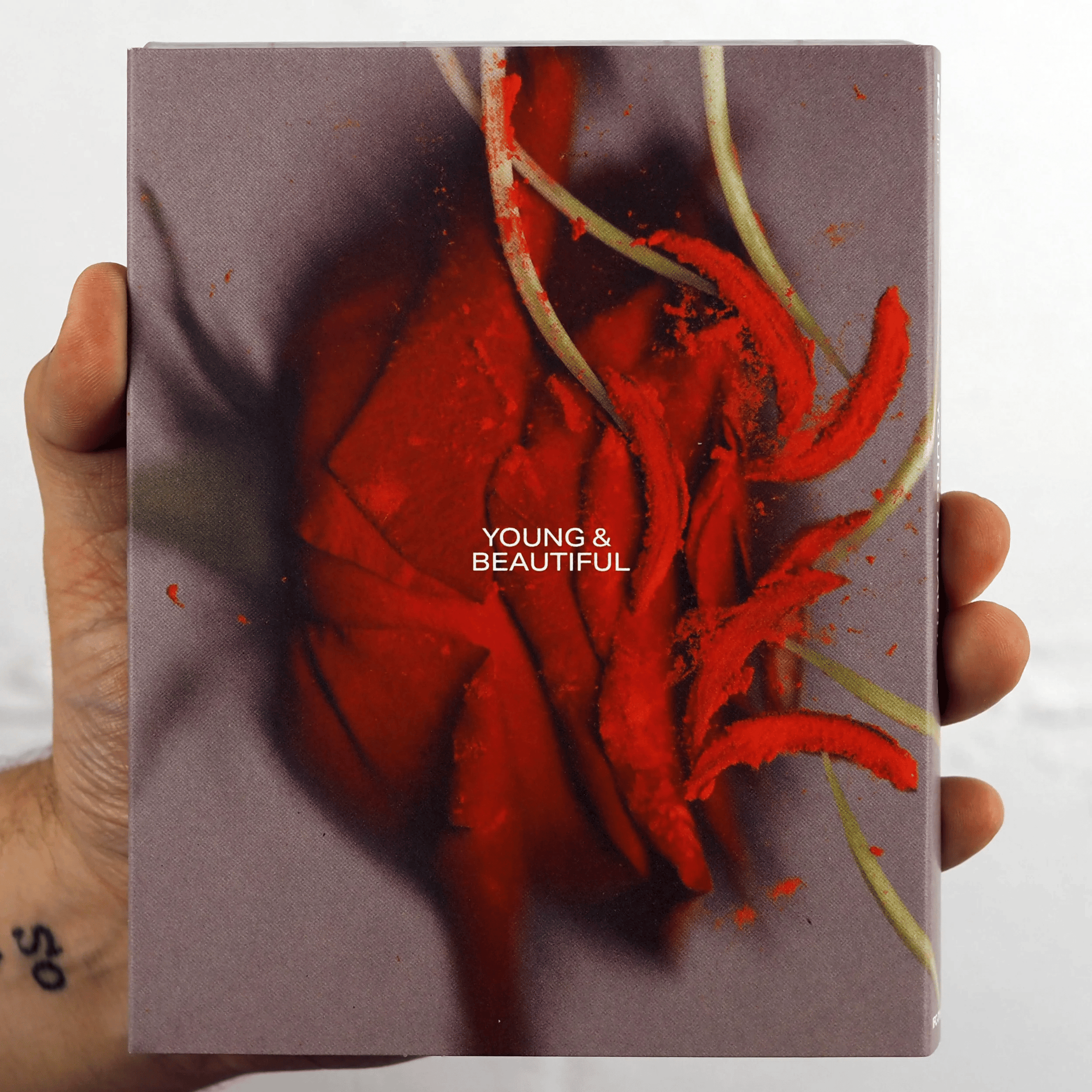 YOUNG & BEAUTIFUL (2013) – Bay Street Video